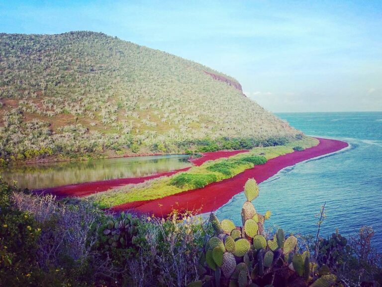 Going To The Galapagos — A Perpetual Traveler’s Dream Trip | Christoph ...