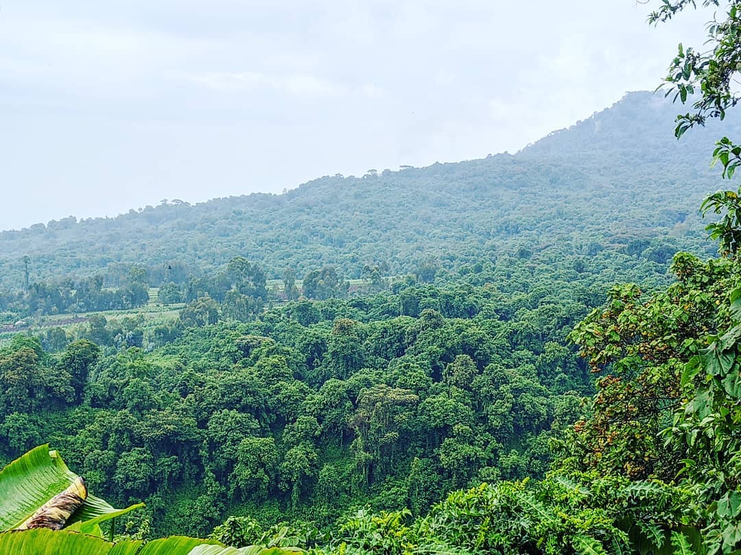 Lake Hopping Burundi And Rwanda And Dodging Ebola In The DRC ...