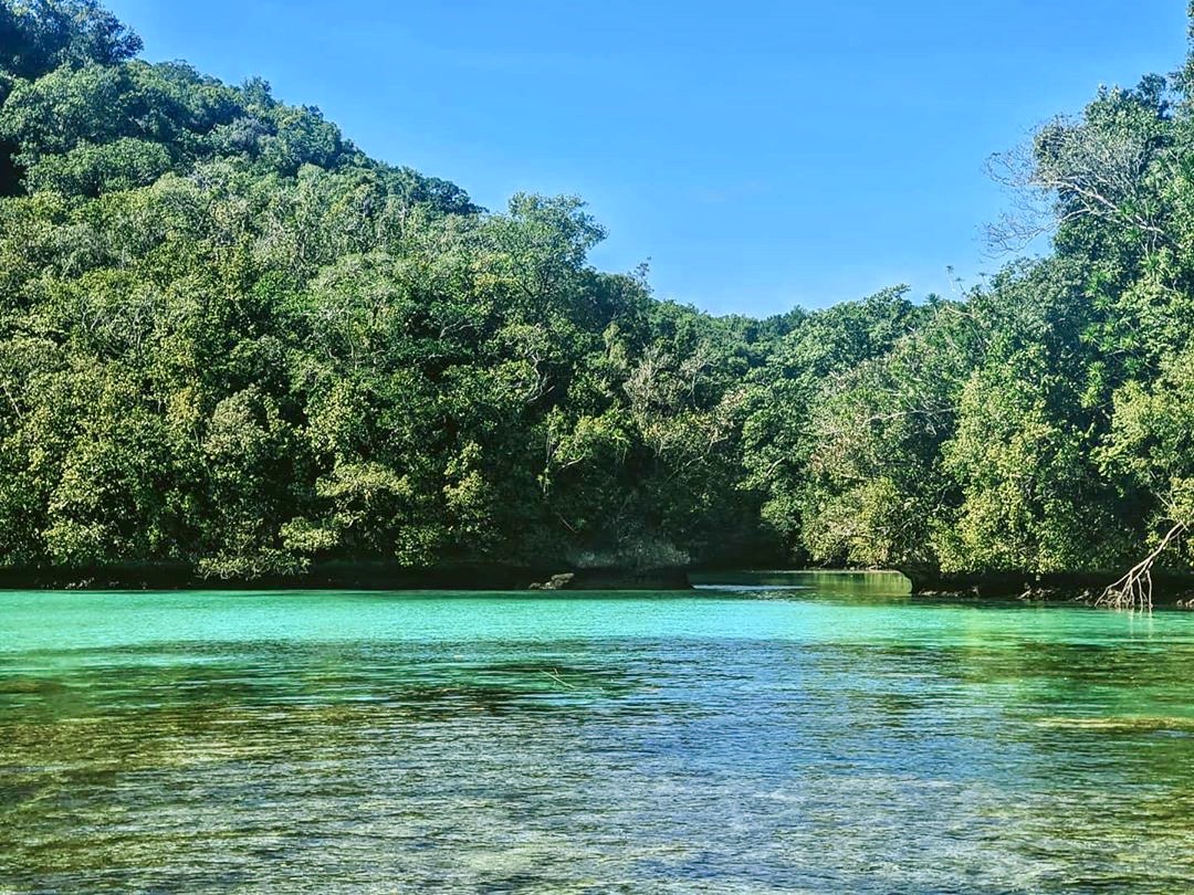 Exploring Palau Part 2: Snorkeling in Jellyfish Lake and Kayaking ...