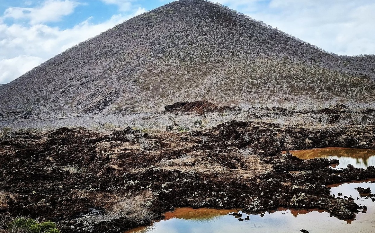 Galápagos: the Charles Darwin’s Living Laboratory